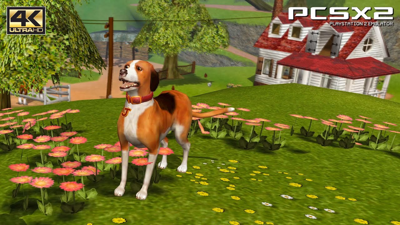 Dog's Life - PS2 Gameplay UHD 4k 2160p / 50 FPS (PCSX2) - YouTube