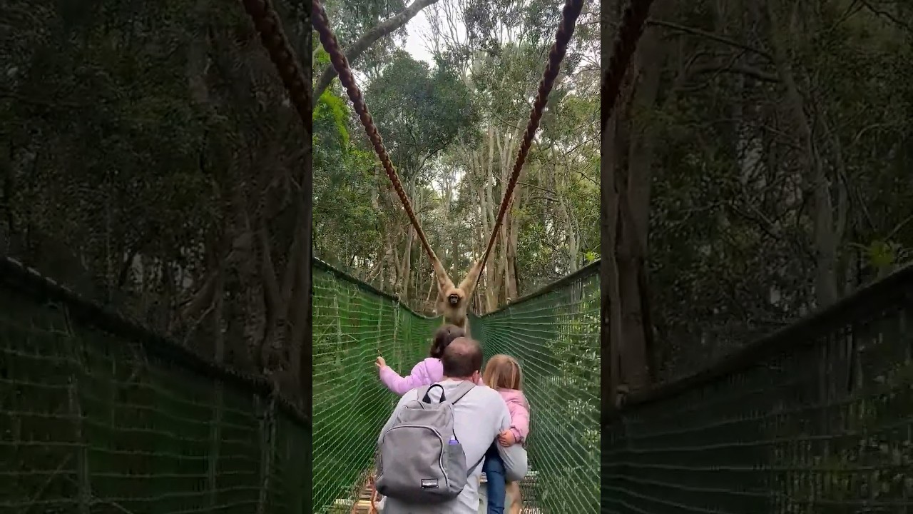 🐓🔴New manki with man viral video 2024// 2024 ka sabse viral video🔥🍺🤩🤩🤣🍾 ...