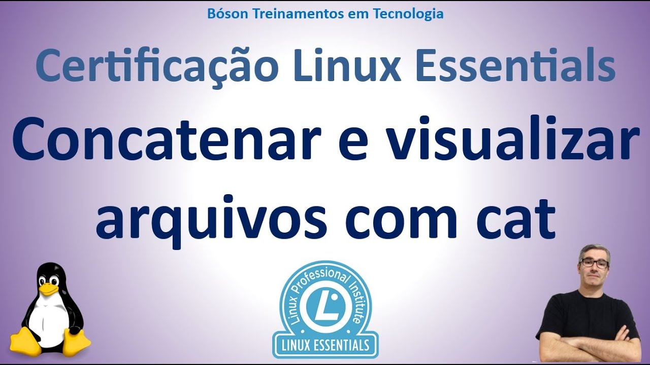 Comando cat - Visualizar e concatenar arquivos de texto no terminal do ...