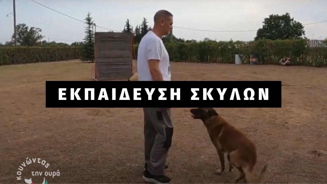 ΚΟΥΝΩΝΤΑΣ ΤΗΝ ΟΥΡΑ - ΕΚΠΑΙΔΕΥΣΗ ΣΚΥΛΩΝ! - YouTube