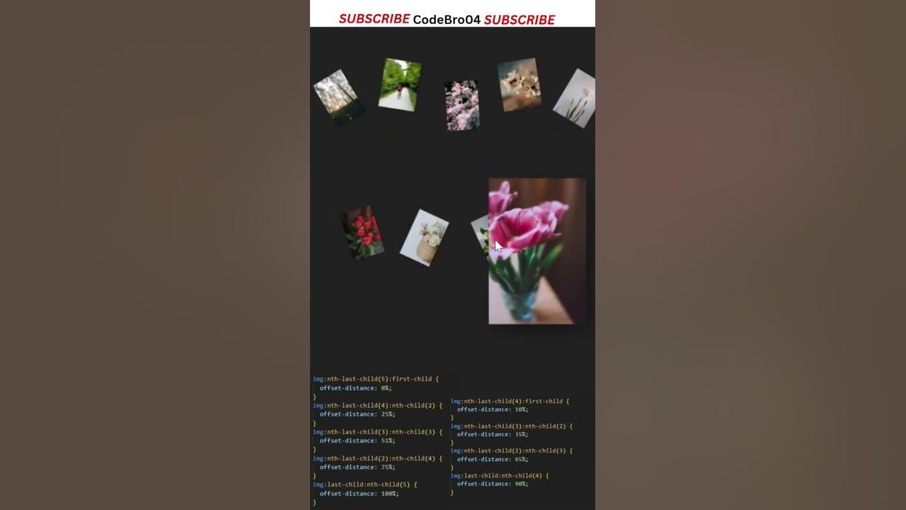 Best !! Just trying the hover scale effect in css #css3 #programming #css #shorts #coding #html ...