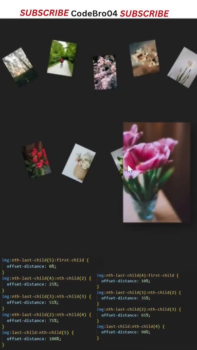Best !! Just trying the hover scale effect in css #css3 #programming #css #shorts #coding #html ...