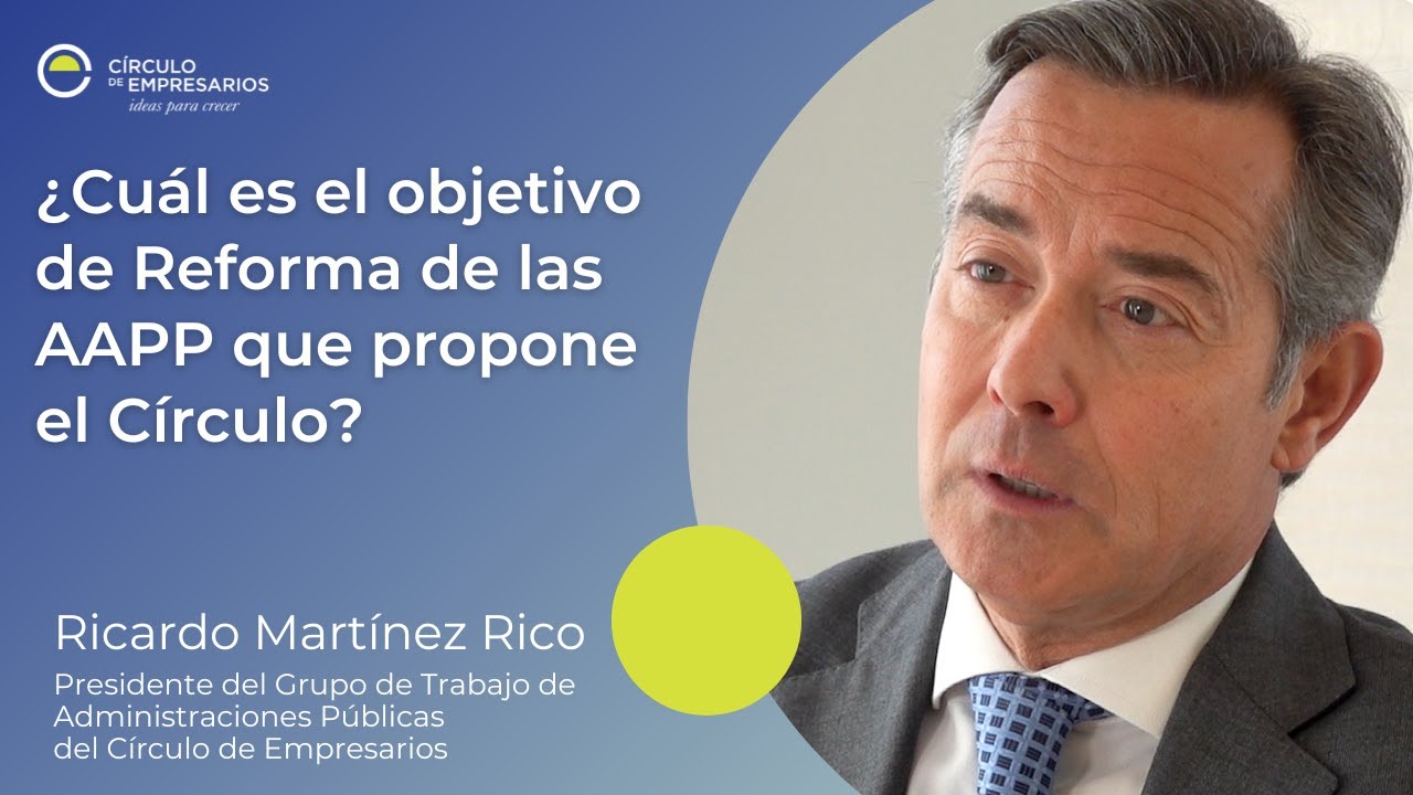 Ricardo Martínez Rico: "El sector público representa aproximadamente el ...