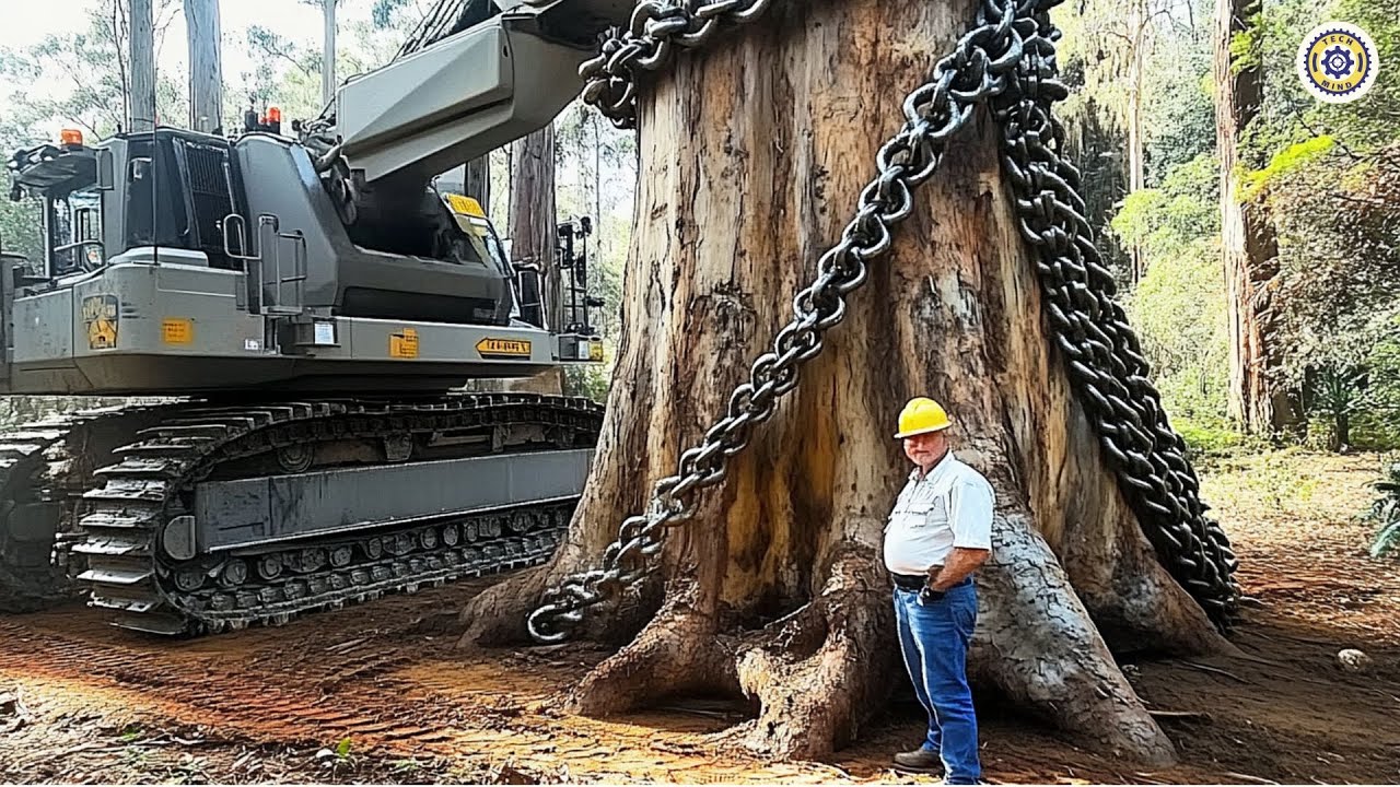 SUPER Crazy POWERFUL Machines And Powerful Heavy Duty Attachments You ...