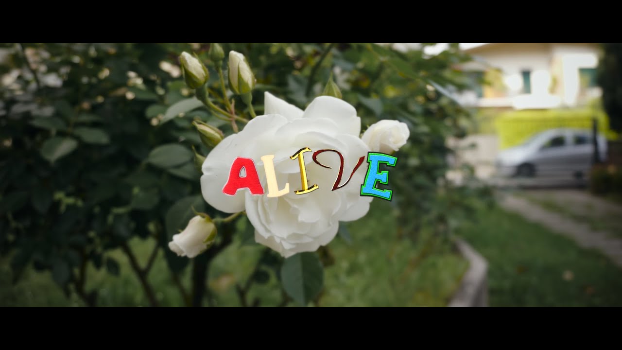 Binoz - ALIVE (Official Video) - YouTube