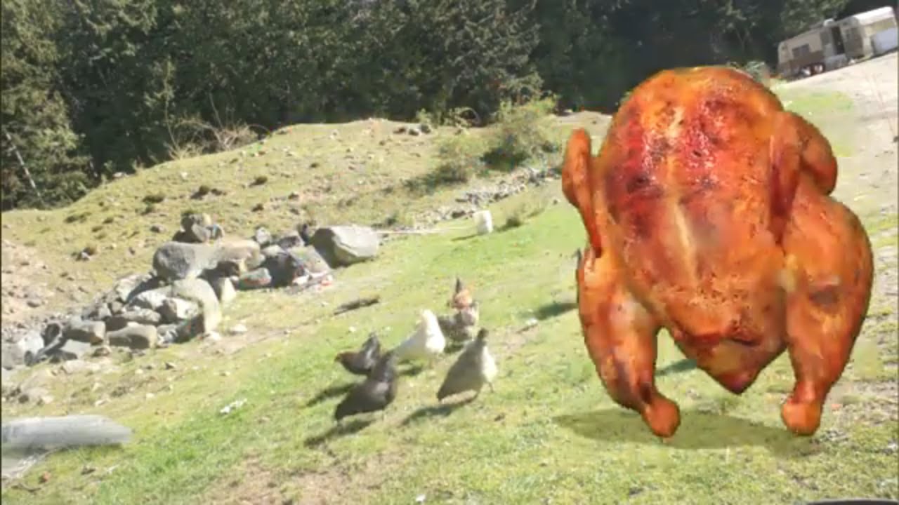 Dancing Roast Chicken Sighting! - YouTube