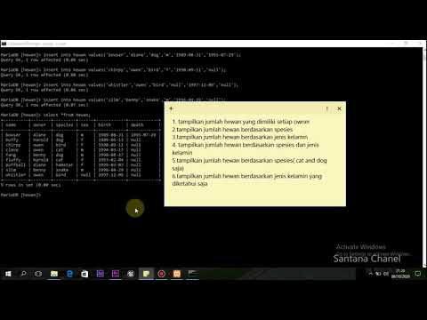 Cara membuat perintah di CMD dan MYSQL XAMPP... - YouTube