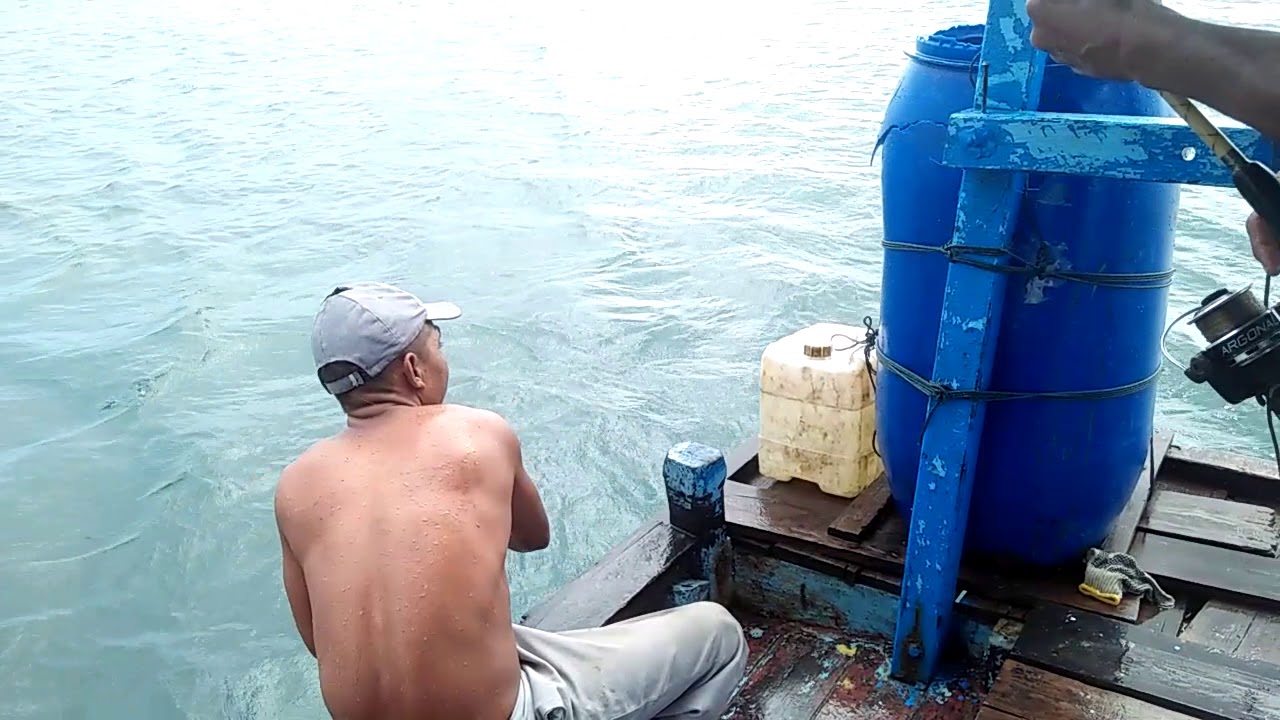 Lempeng vs ikan ruan tasik - YouTube