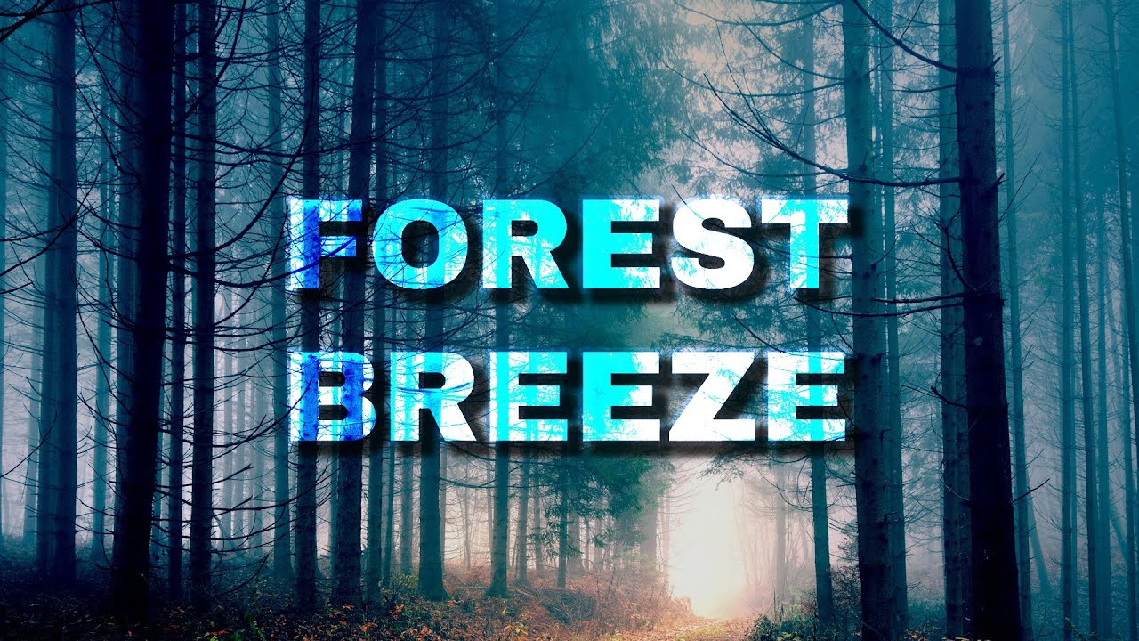 Forest Breeze A Cappella Vocal Track || Ancient Worlds, Nature ...