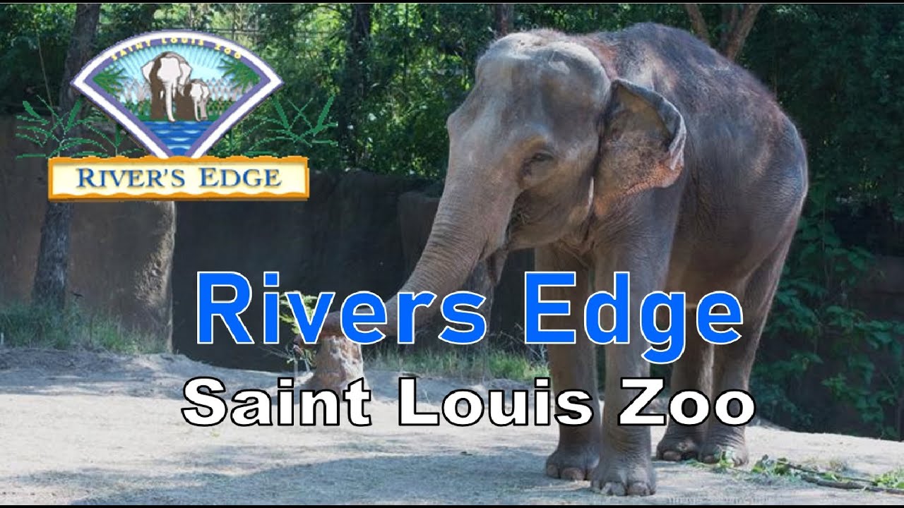Rivers Edge (Saint Louis Zoo) - YouTube