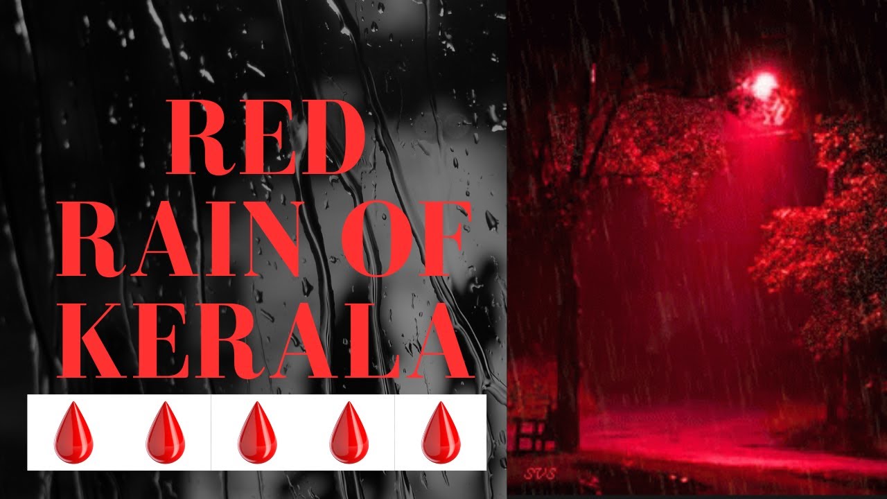 Red rain | Blood rain of Kerala| red rain of Kerala | Trend Talker ...