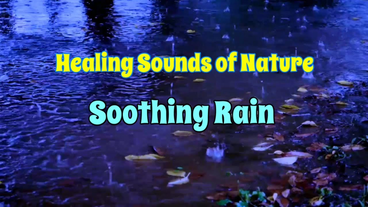 Sounds of Gentle Rain falling on Leaves for Relaxation, Focus or ...