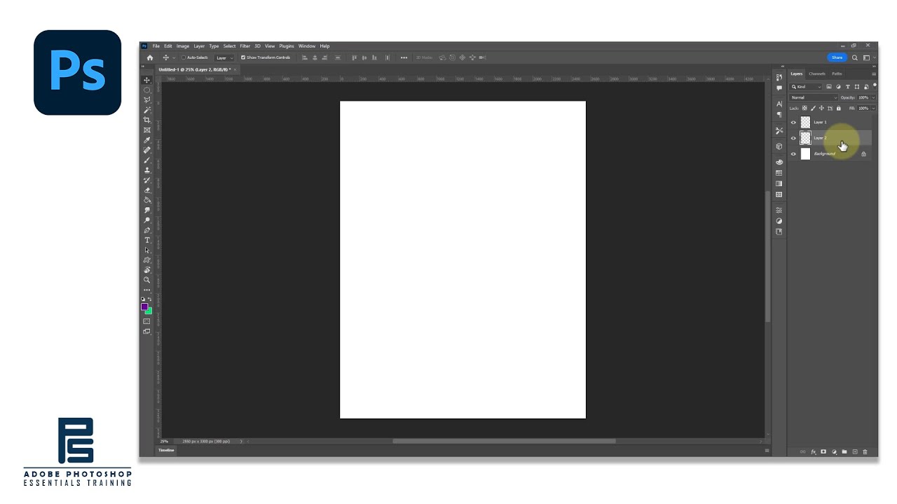 The Document Window, and the Layer Panels - YouTube