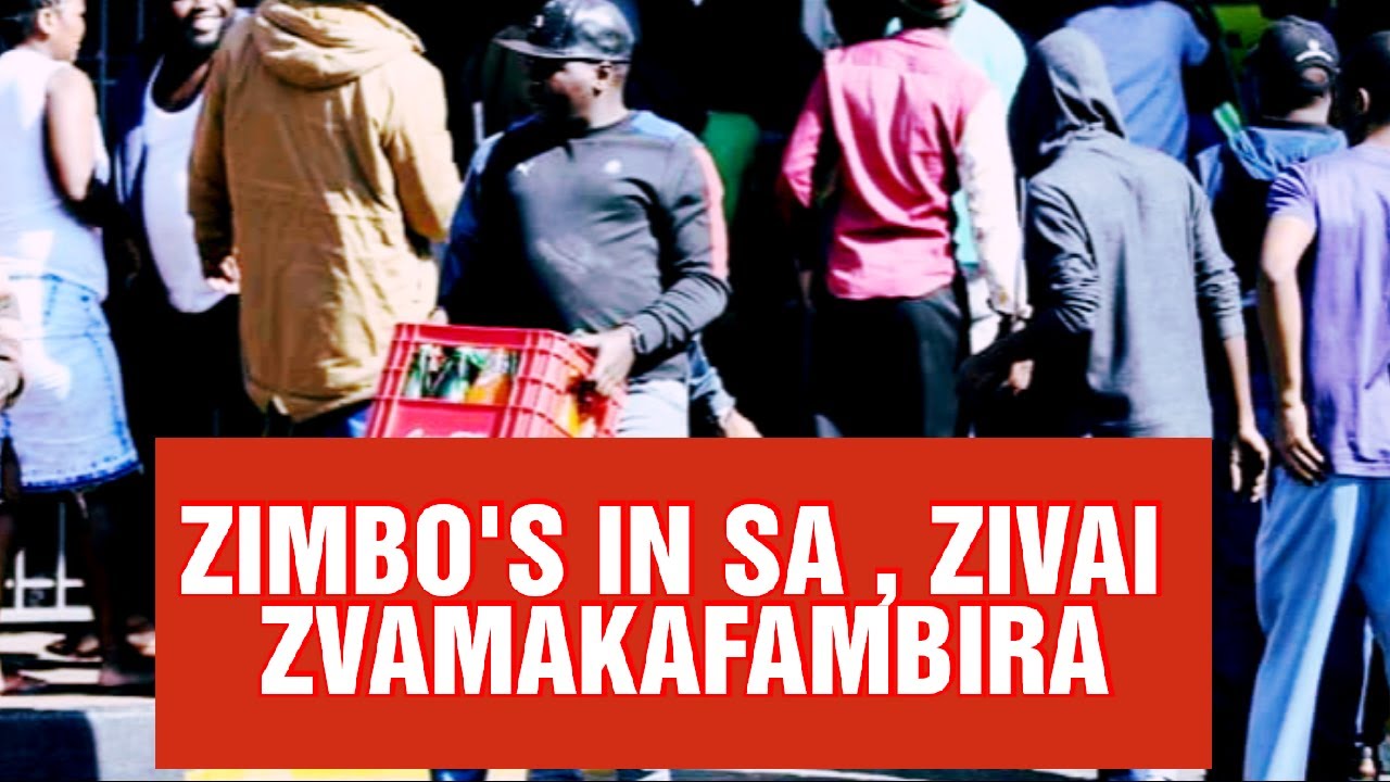 'ZIMBO'S IN SOUTH AFRICA , ZIVAI ZVAMAKAFAMBIRA' HOPEWELL CHIN'ONO ...