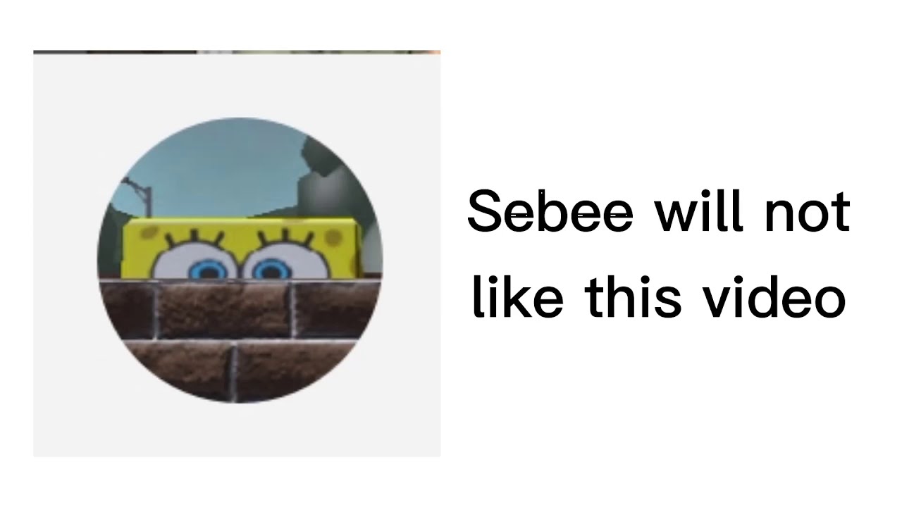 Sebee will not like this video - YouTube