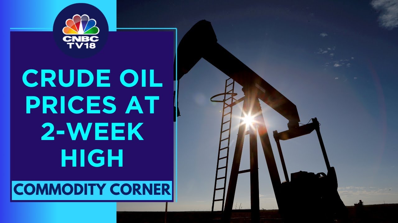 Crude Oil Prices At 2-Week High Following Red Sea Disruptions | CNBC ...