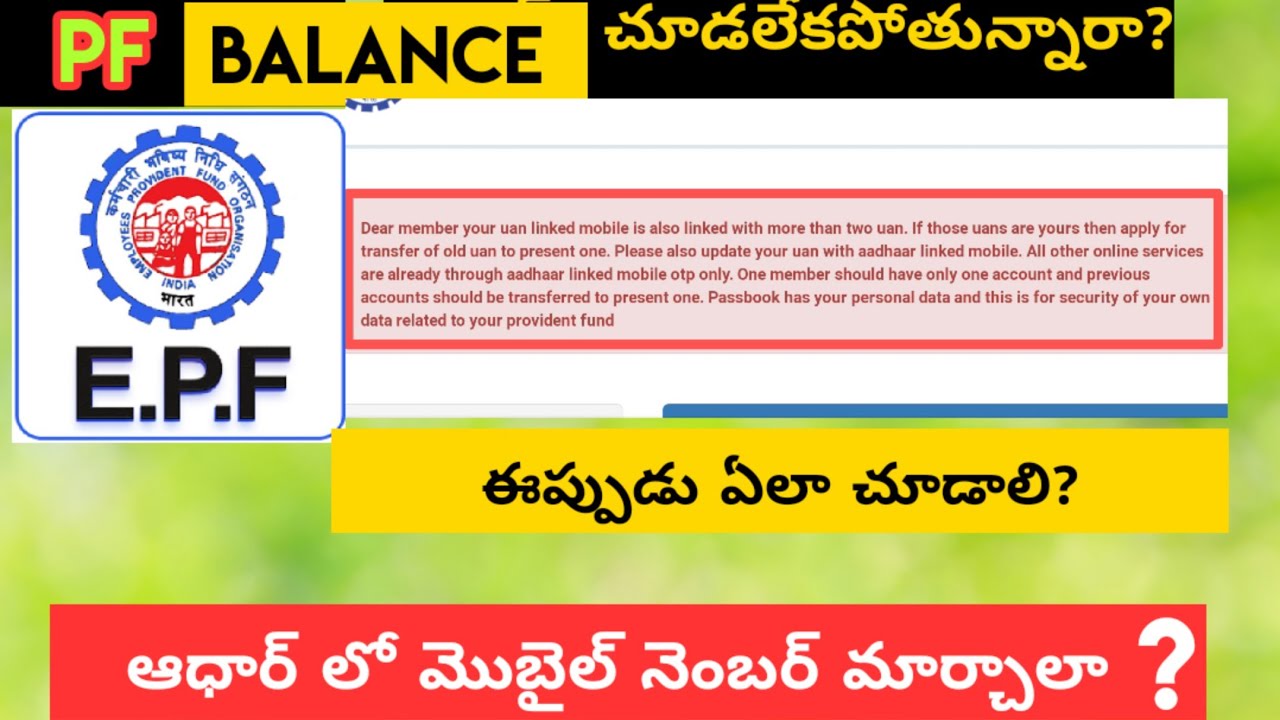 How To View PF Balance Multiple Mobile Linked | How To View PF Passbook ...