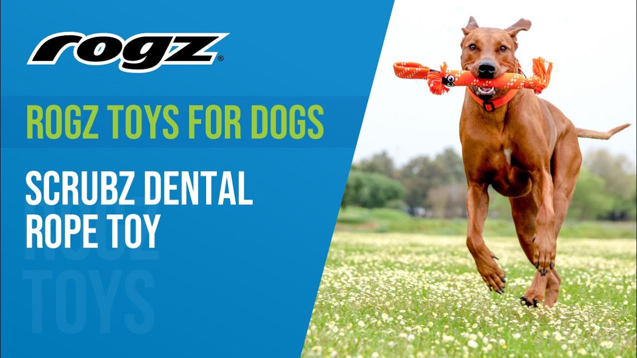 Rogz Toys for Dogs - Scrubz Dental Rope Toy - YouTube