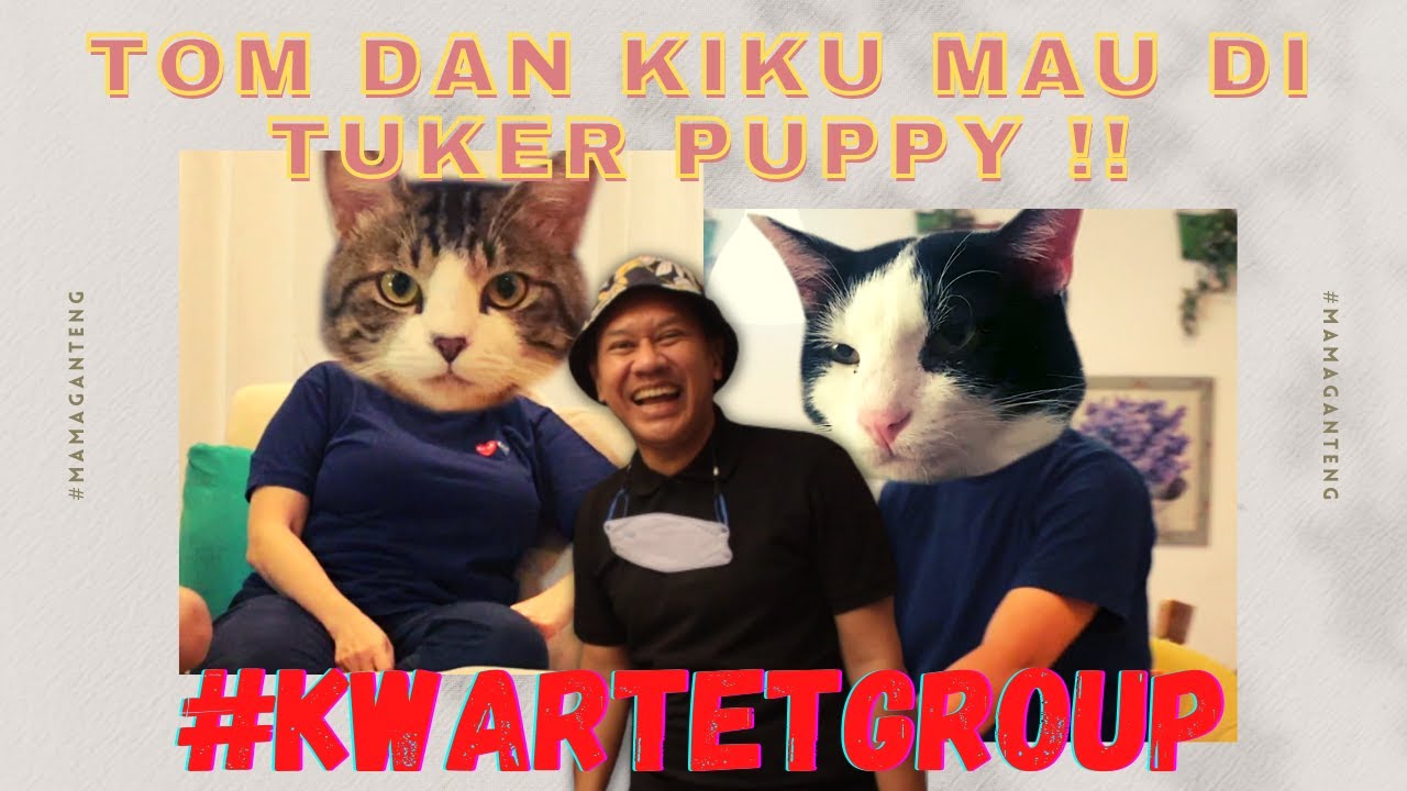 Kucing Om Wepe Mampir Ke Rumah Indy Barends - YouTube