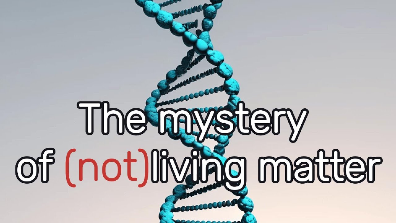 The gene that changes the laws of physics - YouTube