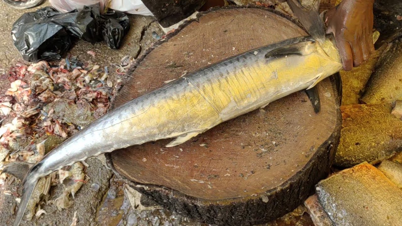 Amazing konam fish cutting video | fish cutting video | #Fish cutting # ...