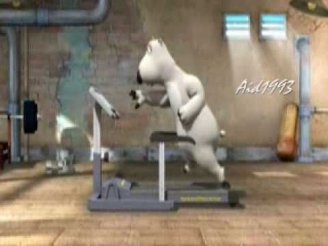 Polar Bear Gets Run Over