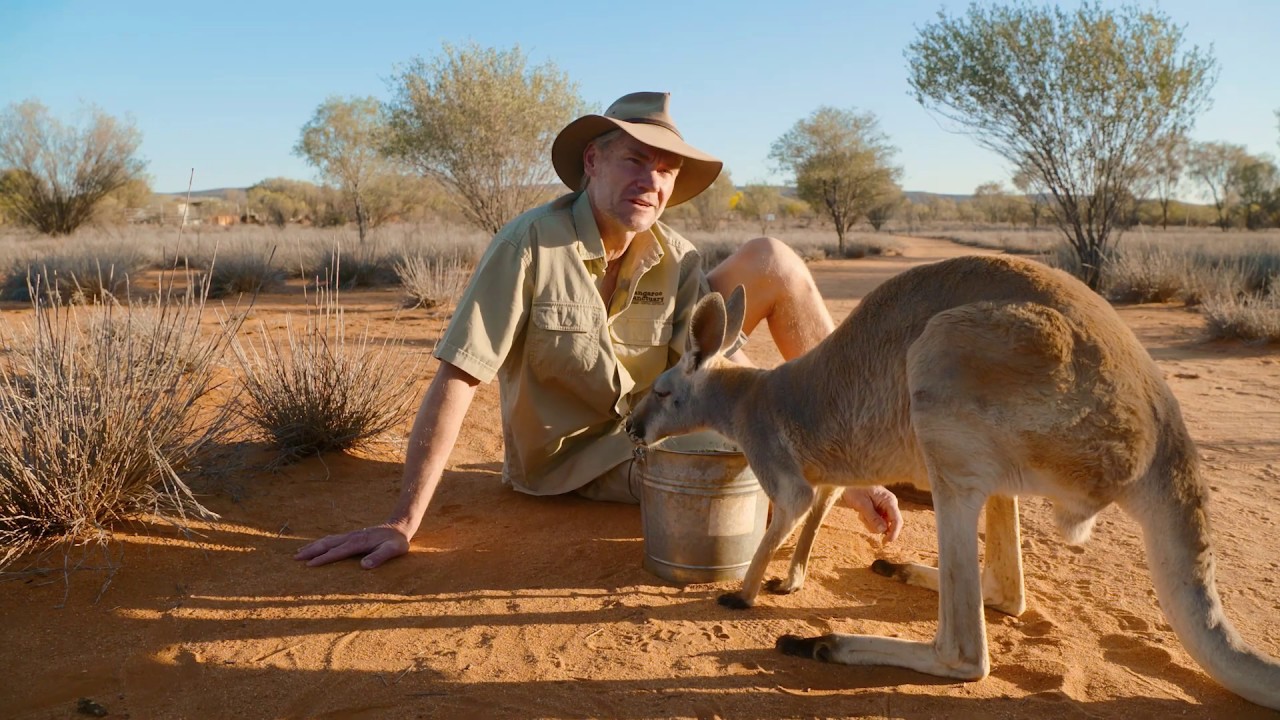 Hand raising 73 Kangaroos YouTube hand-raising-73-kangaroos-youtube