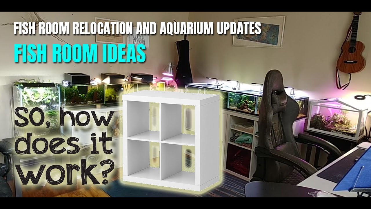 Moving Aquarium Using Ikea Furniture stand - Fish room ideas - YouTube