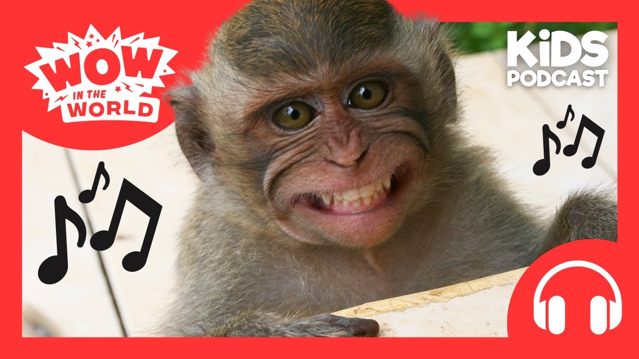 Do MONKEYS Like MUSIC?! 🐒🎵 | PODCAST FOR KIDS 🎧 | Wow in the World FULL ...