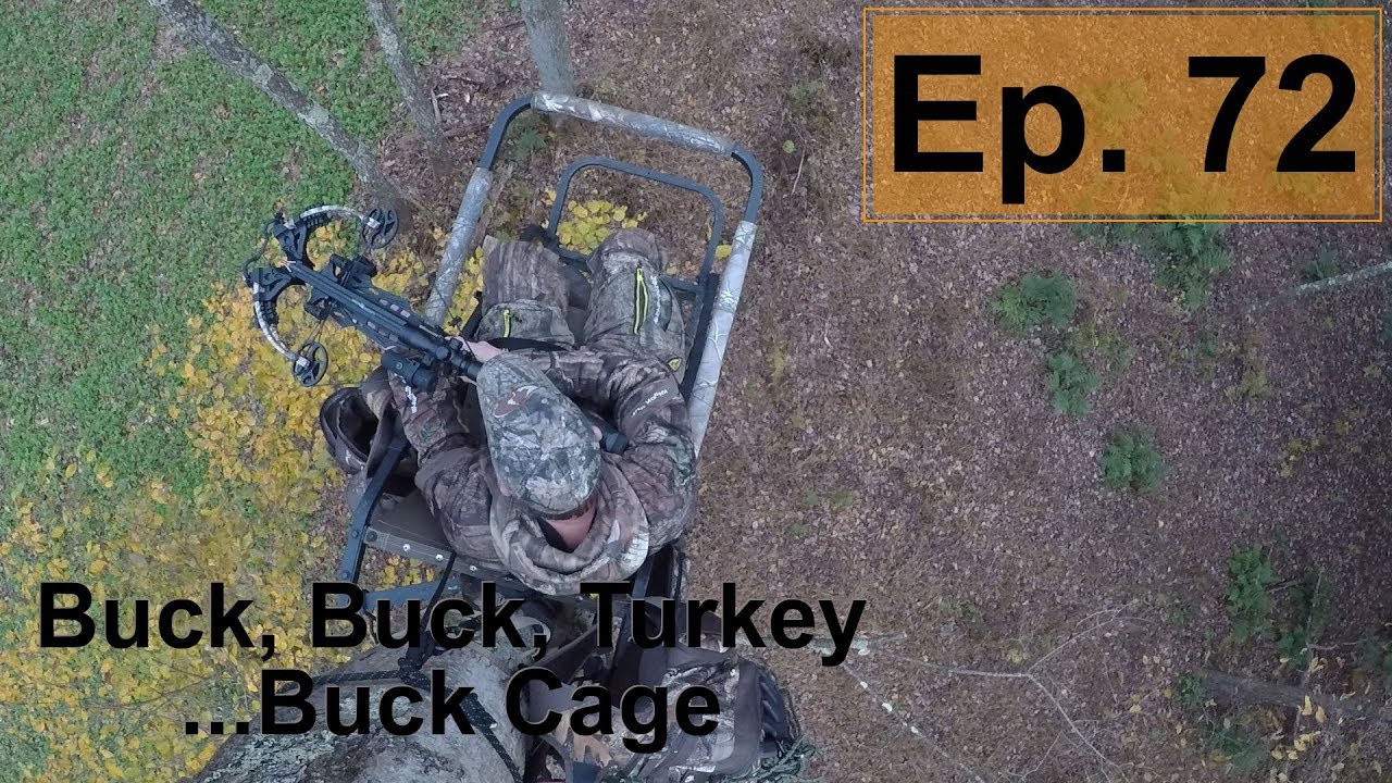 Buck, Buck, Turkey...Buck Cage | Wild Bout Huntin - YouTube