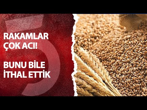 Rakamlar çok acı! Bunu bile ithal ettik