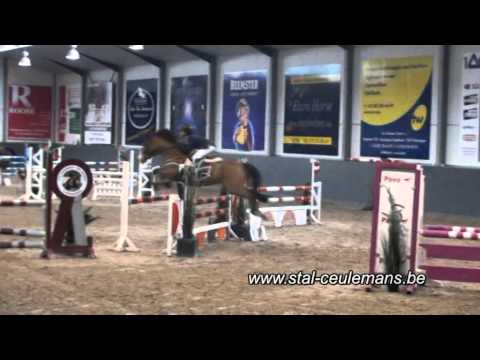 Happy C, Thibeau Spits, Ponycriterium Stal Hazebroek 1m, 11-01-2014