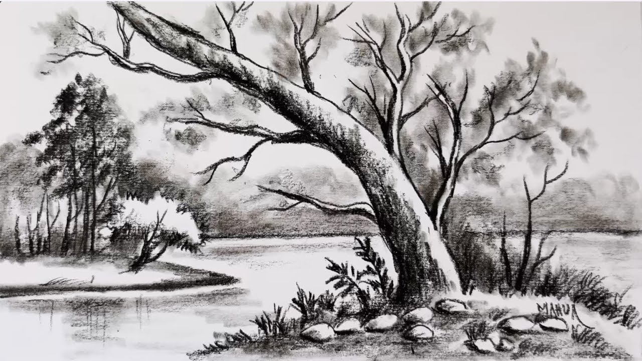 A Simple Landscape with Trees using Charcoal | Charcoal for Beginners ...