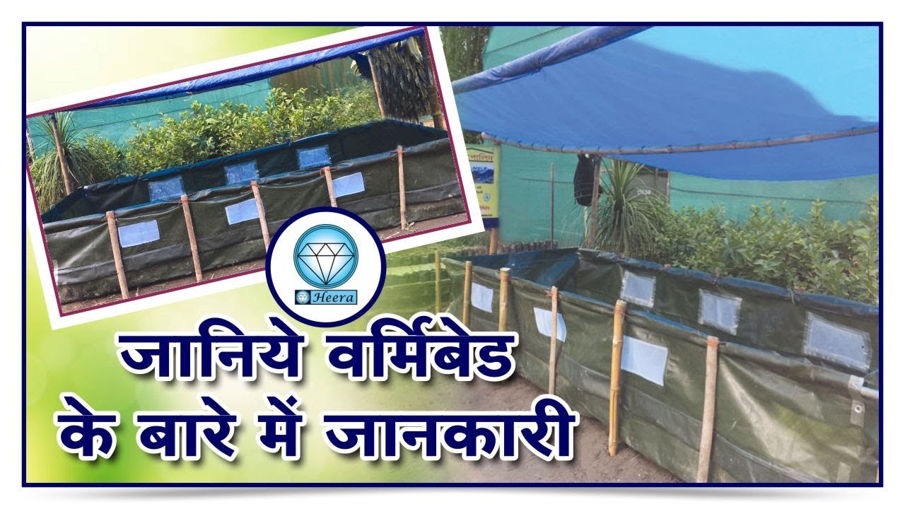 जानिए वर्मीबेड के बारे में, Vermicompost, Vermiwash, Vermibed ...