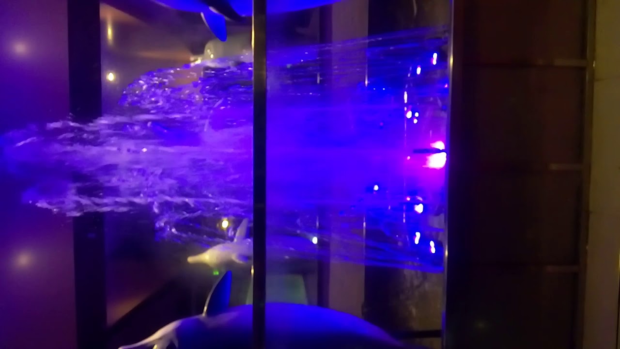 Colour change LED water sprinkler in Amit Garden Hotel Kharegoan Kalwa ...