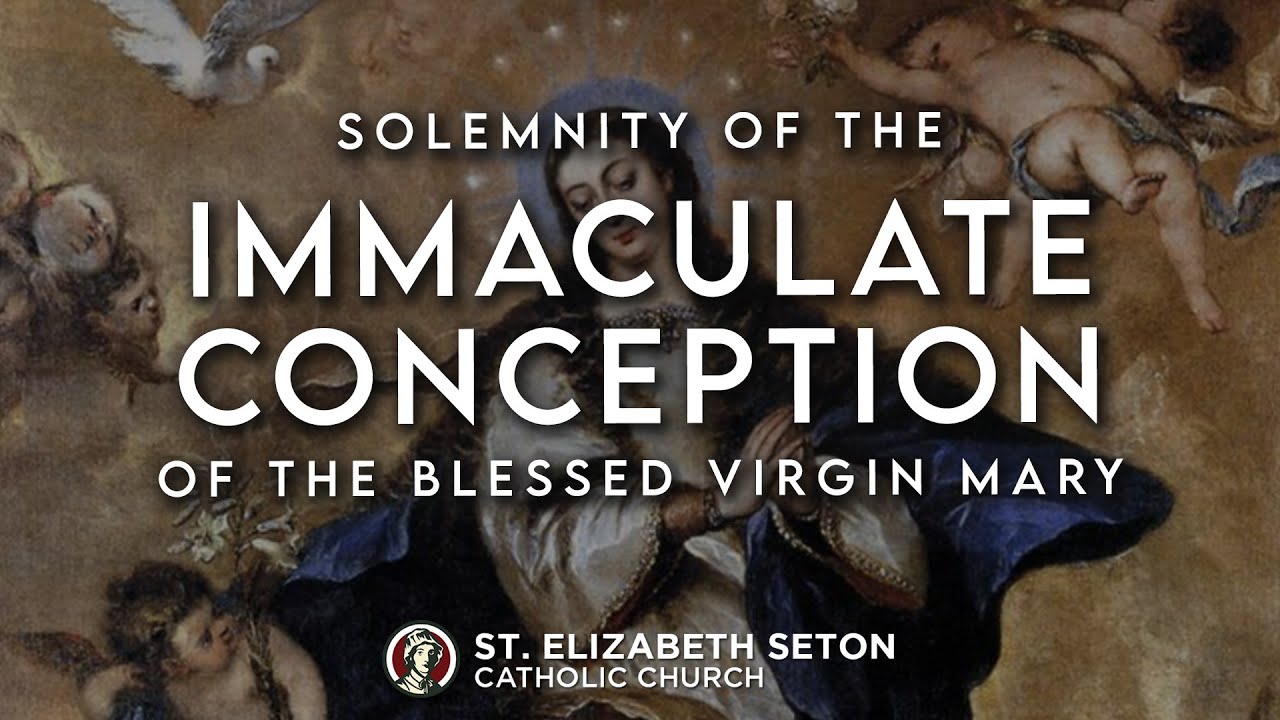 Holy Mass - Solemnity of the Immaculate Conception of the Blessed ...