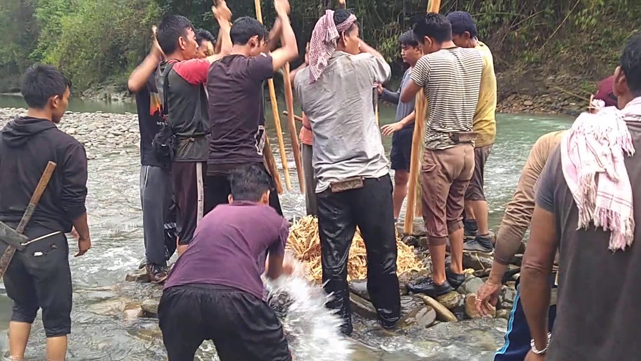 Traditional Lotha Naga fishing - YouTube