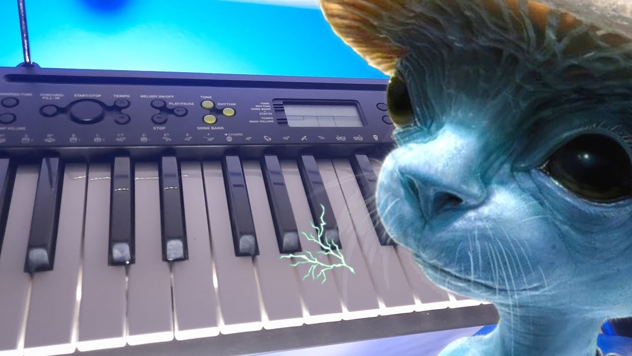 Smurfcat on Piano Original Song Smurf cat - YouTube