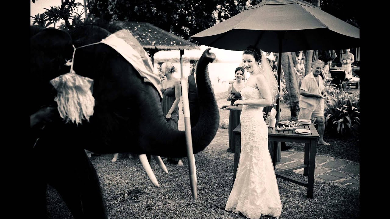 Amari Koh Samui Wedding - Thailand Wedding Photographer | NET ...