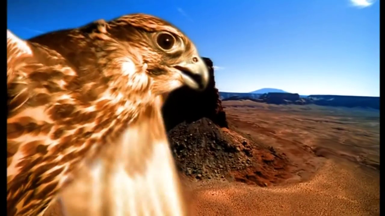 Rednex Spirit Of The Hawk Official Music Video HD RednexMusic com - YouTube