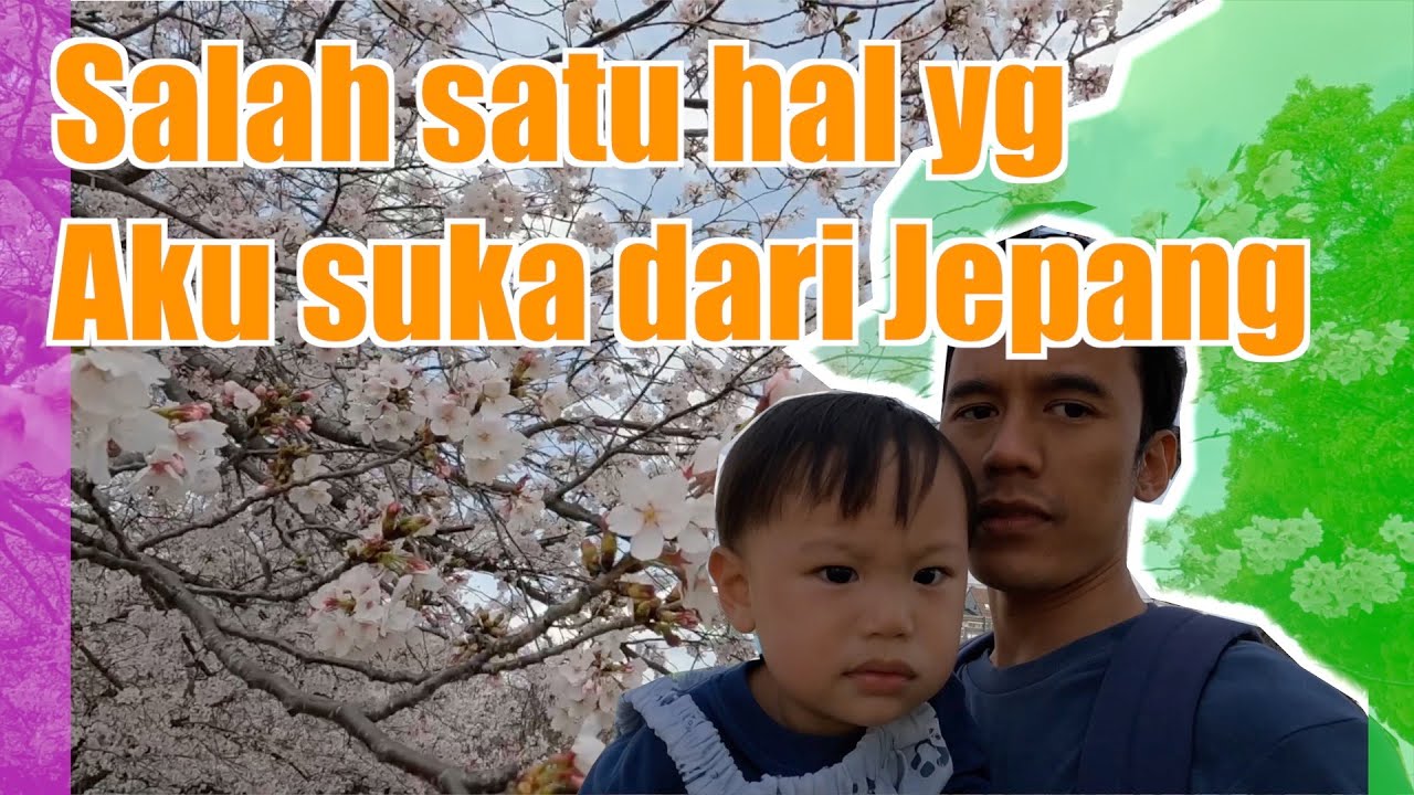 INI YANG BIKIN AKU BETAH DI JEPANG, INDAHNYA SAKURA DAN FASILITAS UMUM ...