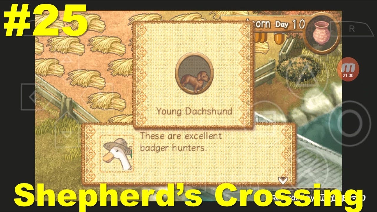 Shepherd's Crossing PSP Gameplay #25 Planting seeds, Dachshund - YouTube