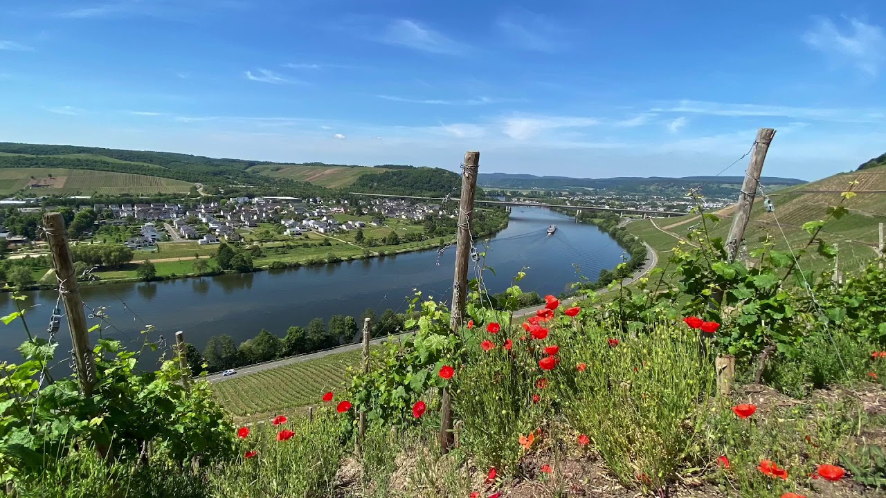 Die Mosellandschaft bei Schweich 🚴‍♀️😊 - YouTube