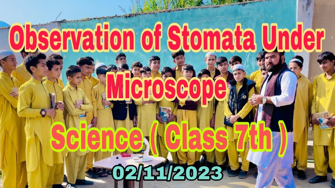 Observation of Stomata Under Microscope | Class 7th Science - YouTube