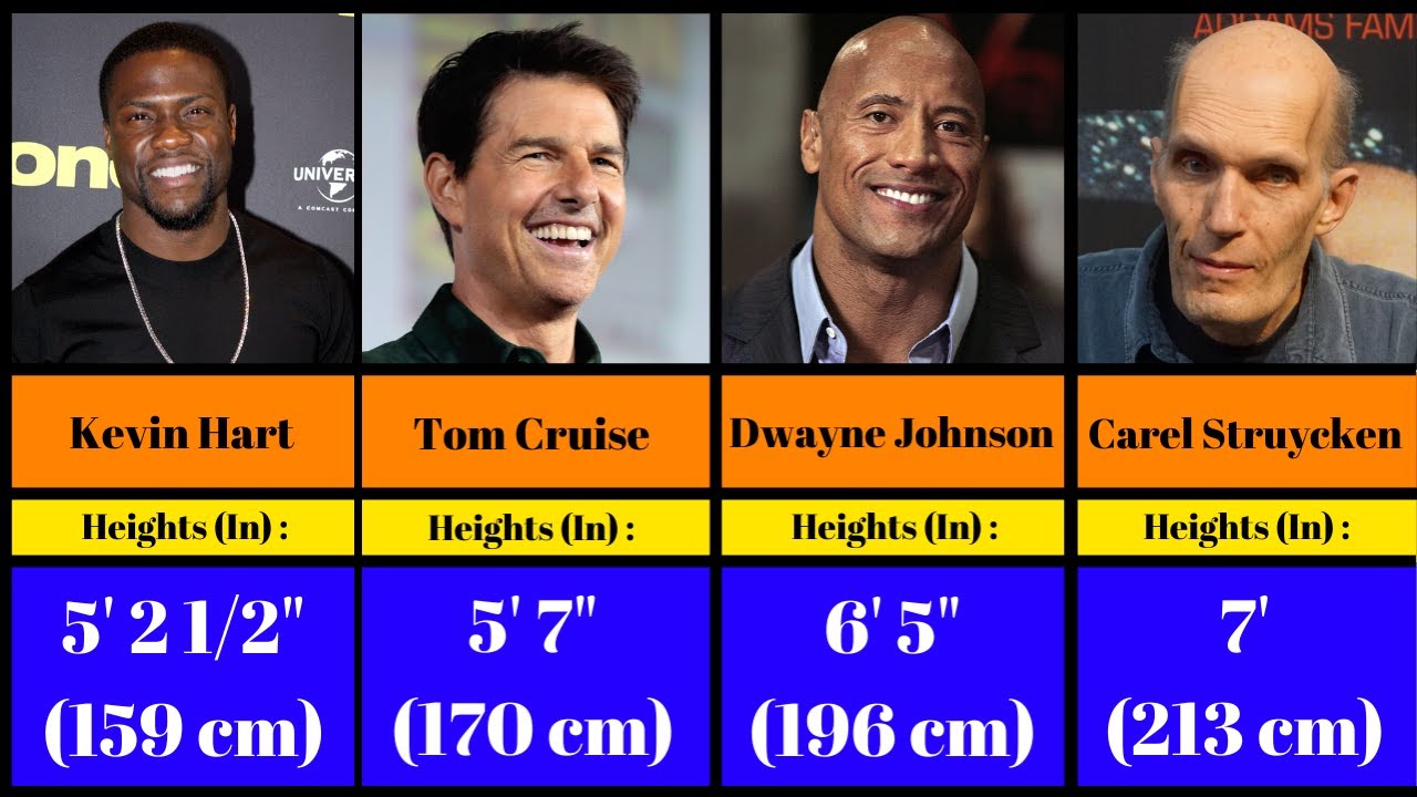 Mcu: 10 Tallest Actors, Ranked By Their Heights – TSZL