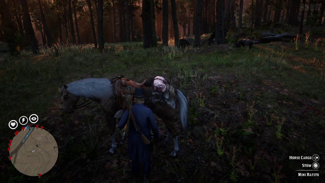 RDR2 Black bear and cougar ( RED DEAD REDEMPTION 2) - YouTube