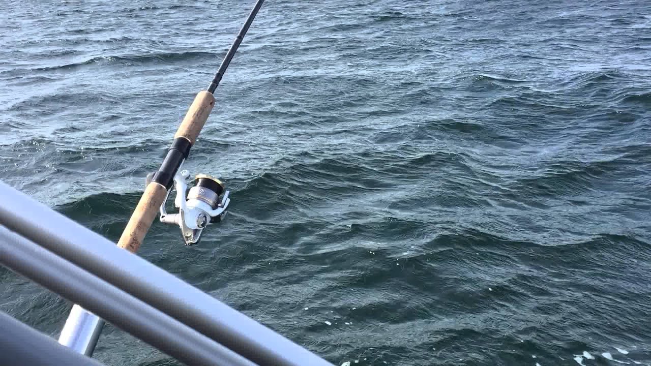 Mopa Expedition i Køge Bugt april 2015 - YouTube