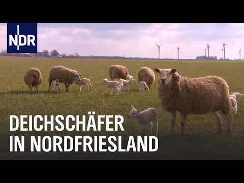 Zwischen Flaschenlamm und YouTube | Die Nordreportage | NDR Doku