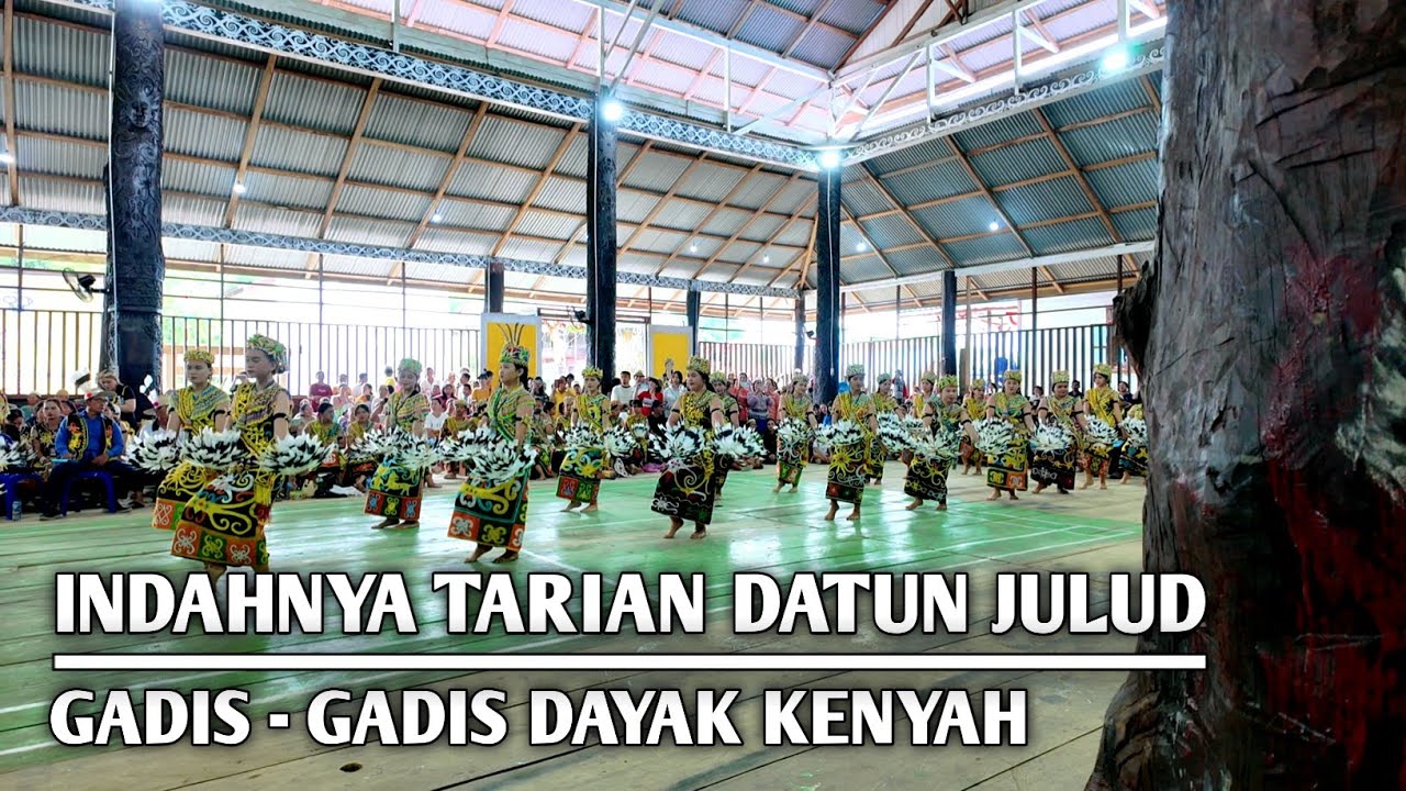 Tarian Datun Julud: Anggun Cantik Dan Indahnya Gadis Dayak Kenyah ...