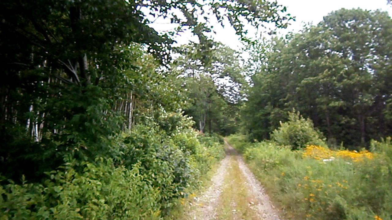 Going down an old logging road with my explorer. - YouTube